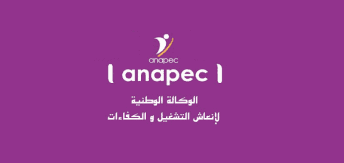 ما هو عقد عمل أنابيك Contrat Anapec؟ - Estifada.net